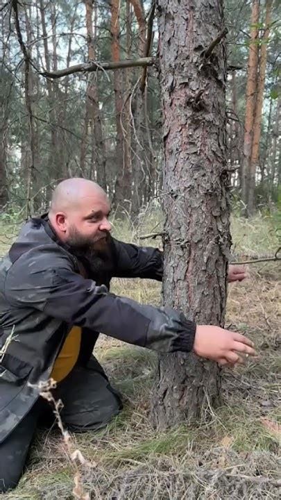 Женский Бушкрафт тренд выживания. На Чиле. - YouTube