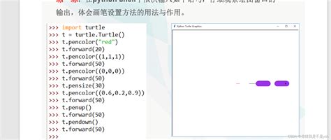 Python入门第二节turtle库turtle库python Csdn博客