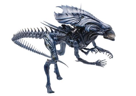 Hiya Avp Alien Queen Toy Discussion At