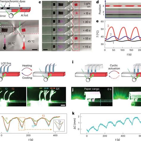 Dissipative Colour Display And Sustained Cargo Transport Based On Download Scientific Diagram
