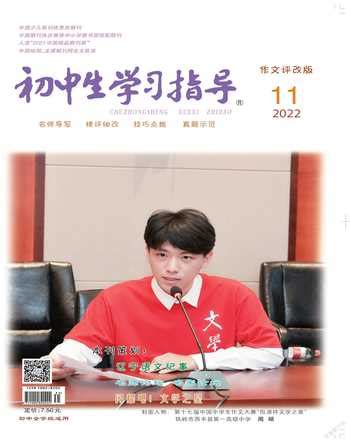 初中生学习指导作文评改版 2022年11期 参考网