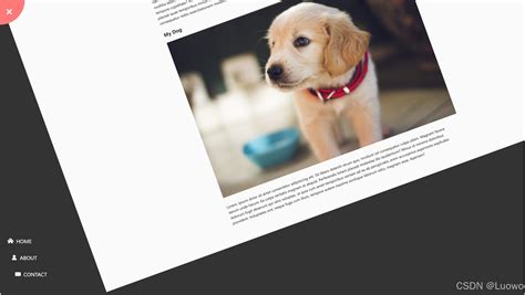 前端50个项目练习 Day3】rotating Navigation Animation Csdn博客