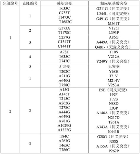 一种快速构建蛋白质突变体毕赤酵母表达文库的方法及其应用