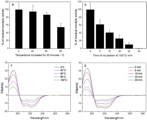 Influence Of Temperature On The Muralytic Activity And Secondary