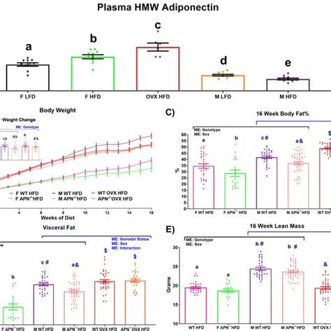 Estrogen Deficiency Increases High Molecular Weight Hmw Adiponectin Download Scientific