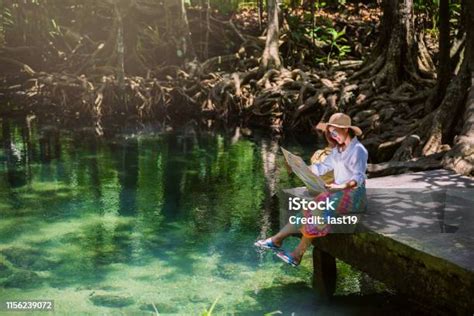 아시아 여성 여행 휴식 휴가자연 여행 앉아 서 즐기는 여자 와 보고 여행 지도 호수 맹그로브 숲 크라비에서 타 폼 클롱 송남 여름 지도 경관에 대한 스톡 사진 및 기타