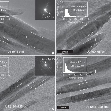 Transmission Electron Microscopy Micrographs With Selected Area Download Scientific Diagram