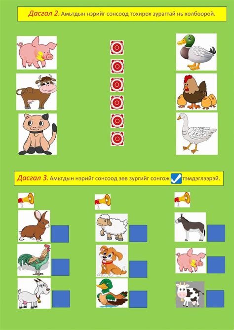 тэжээвэр амьтад сөб 2 6267297 Munkhtuya Sukhbaatar