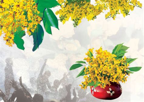 သင်္ကြန်ပိတောက်နှင့်ကျန်းမာရေး Myawady Webportal