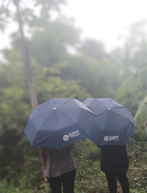 Lily Killen On Linkedin Life Is Full Of Beauty Notice It Notice The Bumble Bee The Small