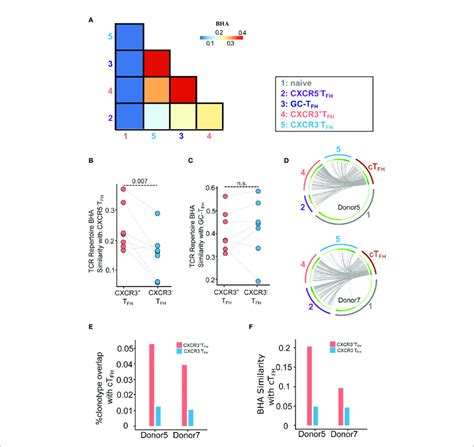 TCR Repertoire Analysis Demonstrates The Clonal Relationship Of CXCR3 Download Scientific