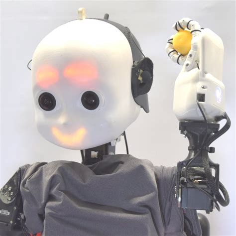 The Nico Robot Is Shaking A Plastic Capsule To Learn About Its Content
