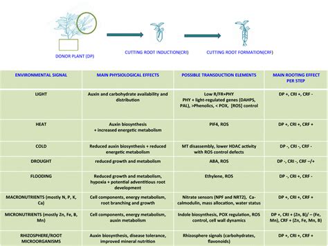 Overview Of The Most Frequent Effects Of Environmental Factors On