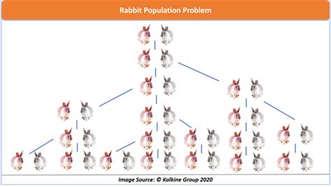Fibonacci Definition Meaning In Stock Market With Example
