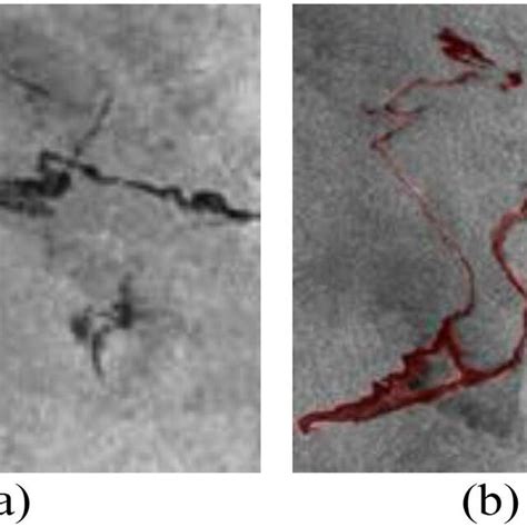 A Original Oil Spill 1 B Oil Spill Detection 1 With U Net Network Download Scientific