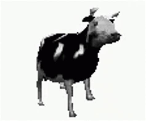 Polish Cow Cow  Polish Cow Cow Dancing Discover And Share S
