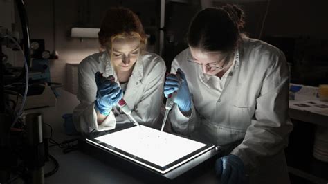 Healthtech Jobopenings Phdpositions Dtu Health Tech