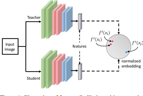 Feature Distillation With Guided Adversarial Contrastive Learning