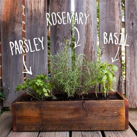 14 Herb Box Ideas Ideas Gardendream2