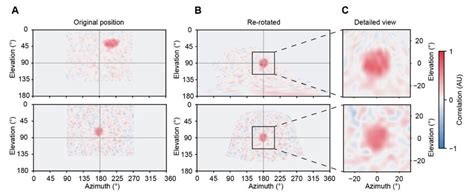 Technical Validation Of Spatiotemporal Receptive Field Measurements A Download Scientific