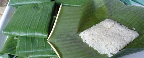 Fermented Rice Tagalog Dictionary