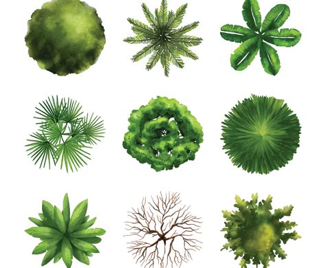 Full Color Architecture Tree Plan Top View Set Freevectors