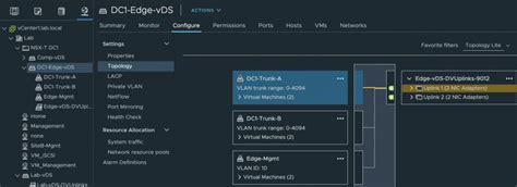 NSX T 3 0 Lab Single N VDS Edge Nodes VDives