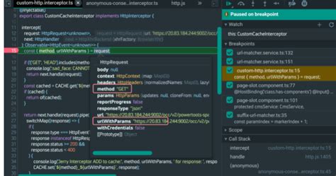 使用自定义 Interceptor 记录 Sap Spartacus 发送的 Occ Api 以及响应 阿里云开发者社区