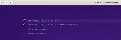 can t boot after update stuck on btrfs line kernel boot graphics