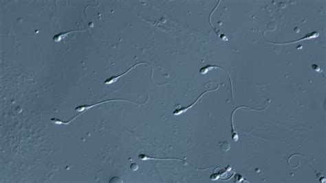 Life Cycle Testing Stock Video Footage K And HD Video Clips Shutterstock