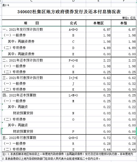 杜集区地方政府债券发行及还本付息情况表 杜集区人民政府信息公开网
