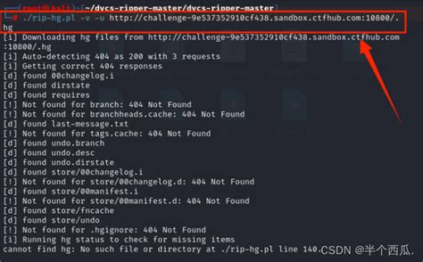 Ctf：信息泄露（ctfhub靶场环境）ctf信息泄露 Csdn博客