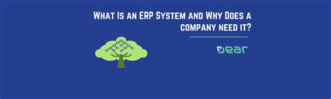 What Is An ERP System And Why Does A Company Need It INNO