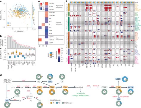 Ir And Is Associated Lipid Signatures A Principal Component Analysis