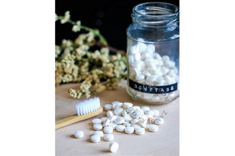 Solid Toothpaste Tablets Zangra