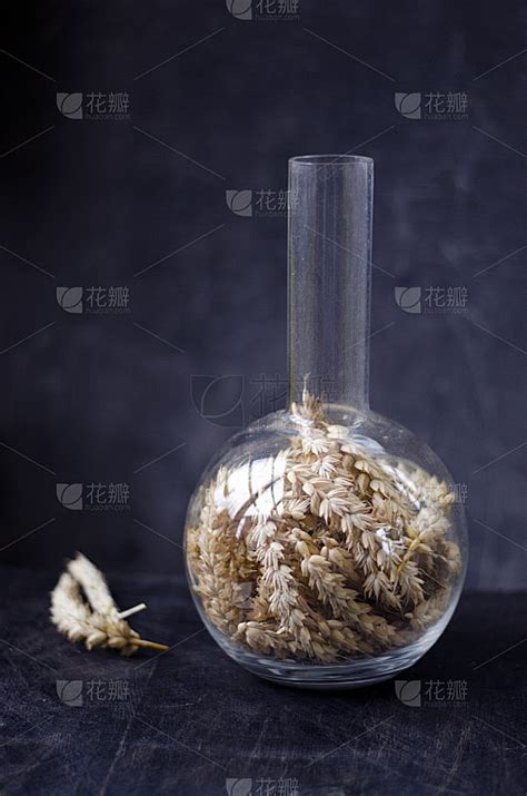 实验室玻璃烧瓶灯泡与干小麦穗黑色