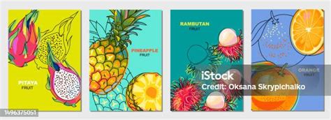 오렌지 파인애플 피타야 람부탄 과일이 있는 포스터 전체 및 반 열대 여름 과일 브로셔 전단지 및 포스터 사용을 위한 표지 템플릿