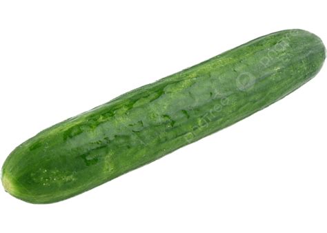 오이 신선한 야채와 과일 조각 맛있는 사진 오이 야채 채소 Png 일러스트 및 이미지 에 대한 무료 다운로드 Pngtree