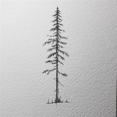 Pine Tree Tattoo Design By Sarah Hernandez
