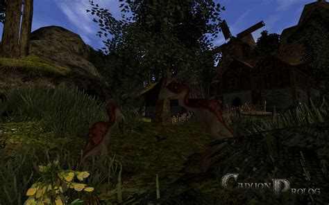 New Screens Image Caduon Der Prolog Mod For Gothic Ii The Night
