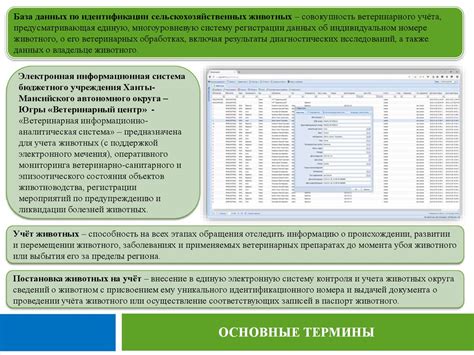 Электронная идентификация животных на территории Ханты Мансийского автономного округа Югры