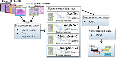 Framework Of The Proposed Breast Cancer Histo Pathological Image Download Scientific Diagram