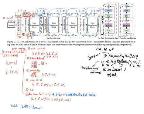 Swintransformer学习 W Msa和sw Msa Csdn博客