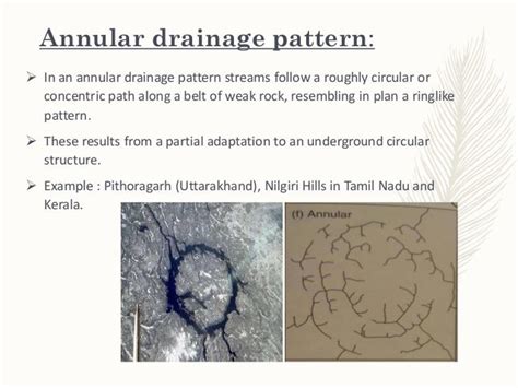 Types Drainage Pattern Presentation