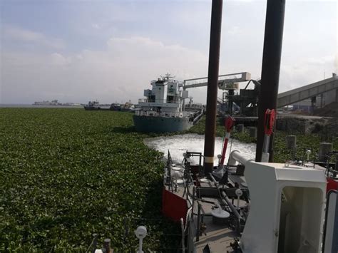 Md Abbas Uddin On Linkedin Royalihc Ihcb50 10 Comments