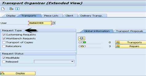 Sap Basis Managing Transport Routes Sap Online Guides