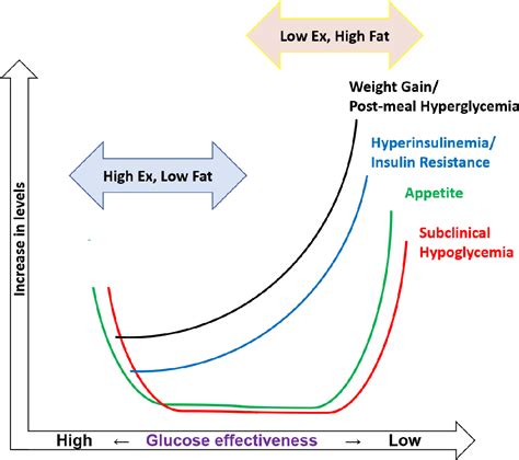 Figure 1 From Subclinical Reactive Hypoglycemia With Low Glucose Effectiveness Why We Cannot
