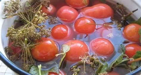 Квашеные помидоры с чесночком 2 рецепта которые все так ищут My Cms