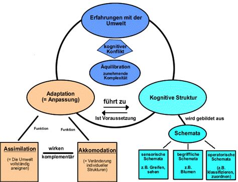 Lernblock Ade Muttis Abi Piaget