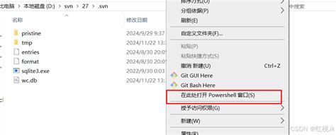 Svn 崩溃、 Cleanup失败 怎么办svn清理失败怎么办 Csdn博客